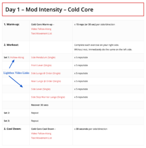 Steel Club Flow Evolution - Steel Club Workout Program - Shane Heins